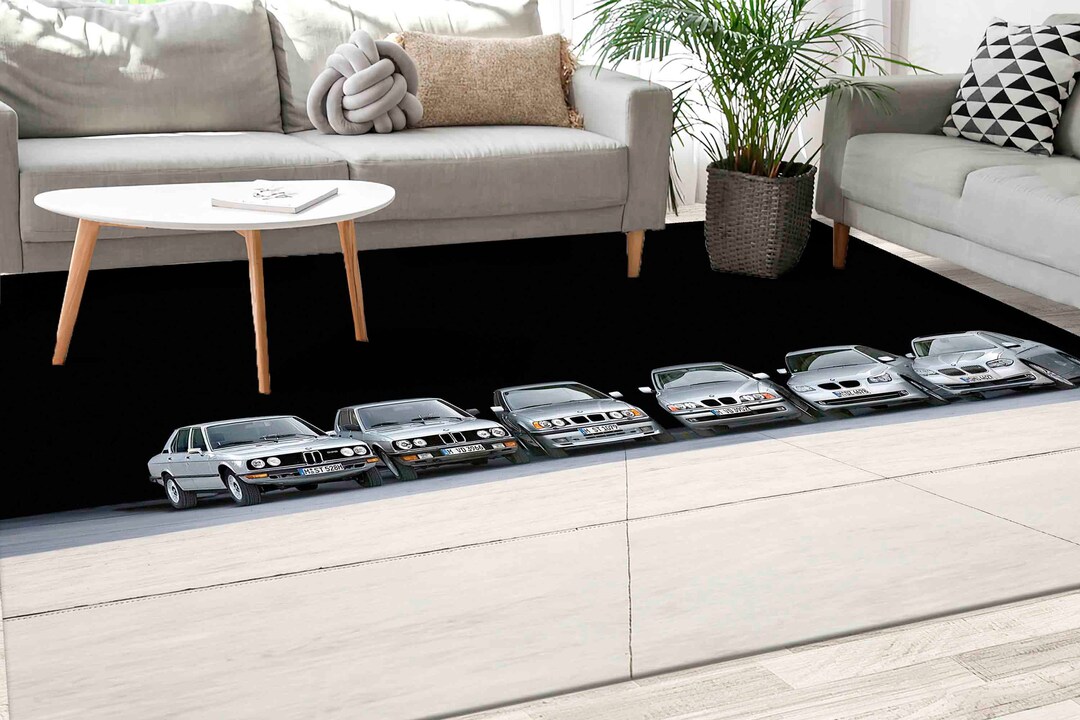 Boy Room Rug, Pet Friendly Rug, Home Decor Rug, Entryway Rug, Non-slip ...