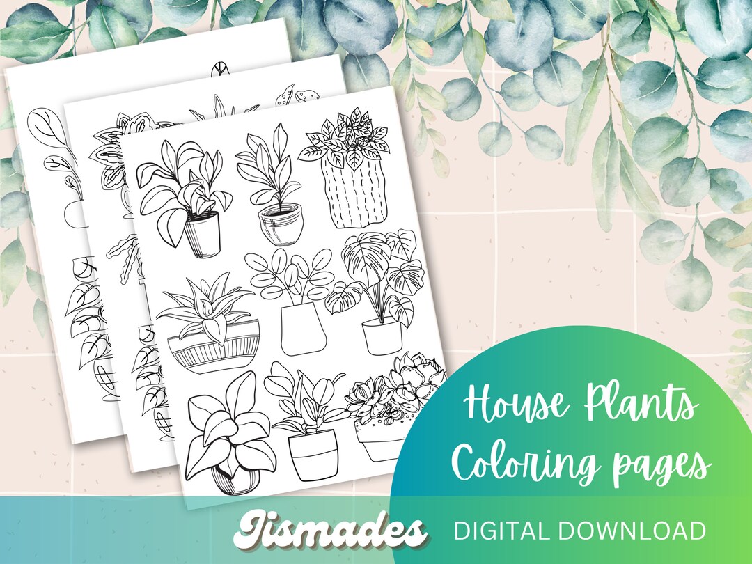 Set of 3 House Plant Coloring Pages for Woman, Printable Coloring ...