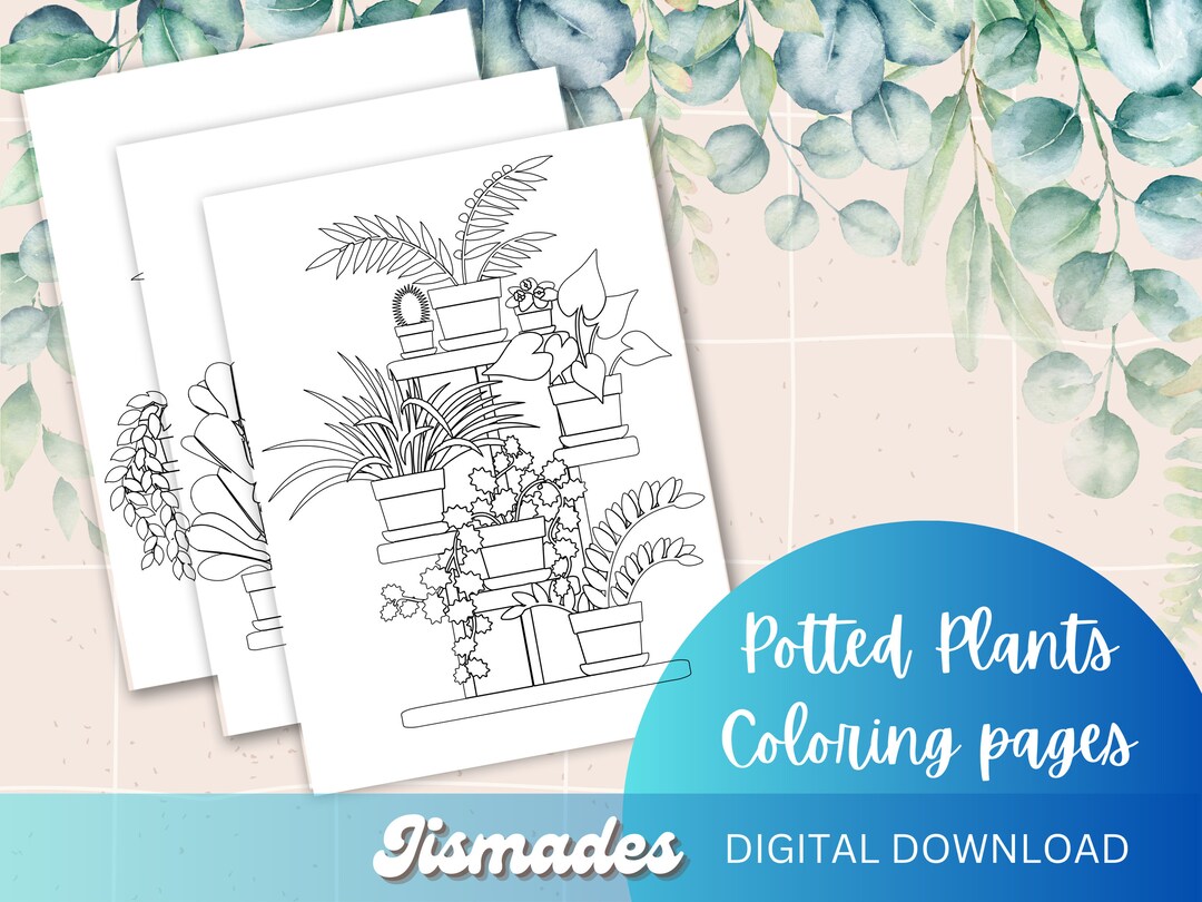 Set of 3 Potted Plants Coloring Pages for Woman, Crazy Plant Lady ...