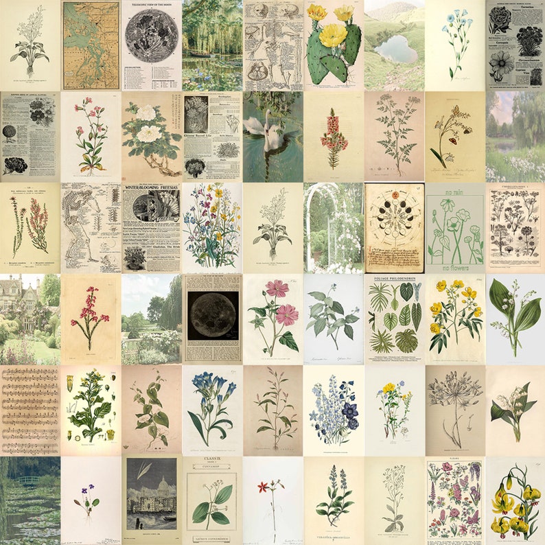 200 Cottagecore Wall Collage Kit - Fairycore Aesthetic Room Decor ...