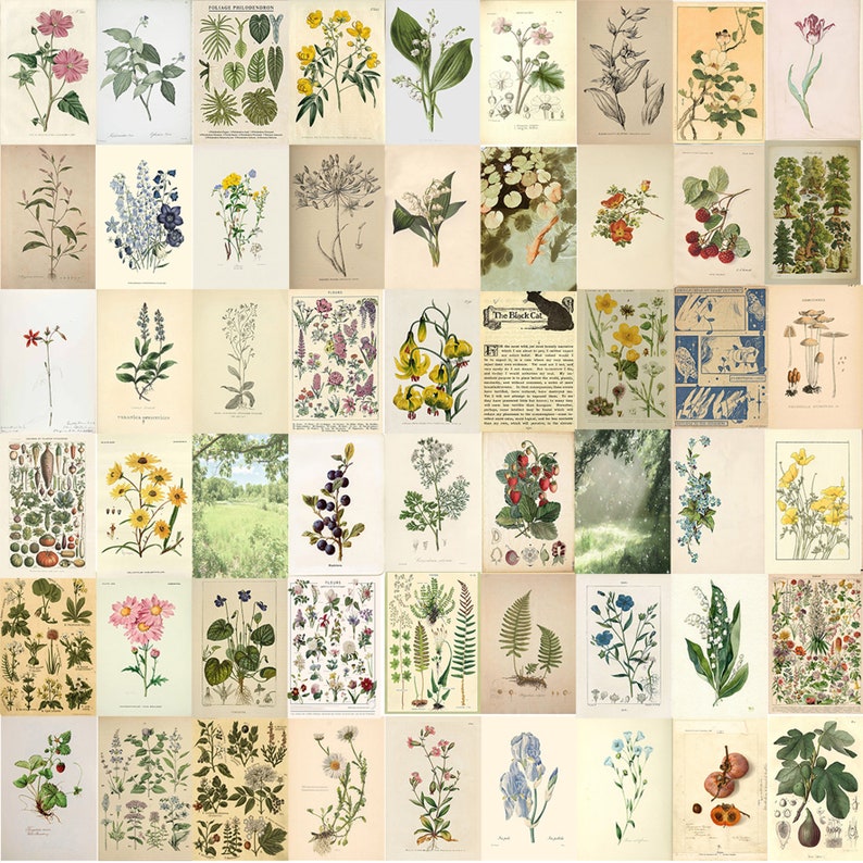 200 Cottagecore Wall Collage Kit Fairycore Aesthetic Room Etsy