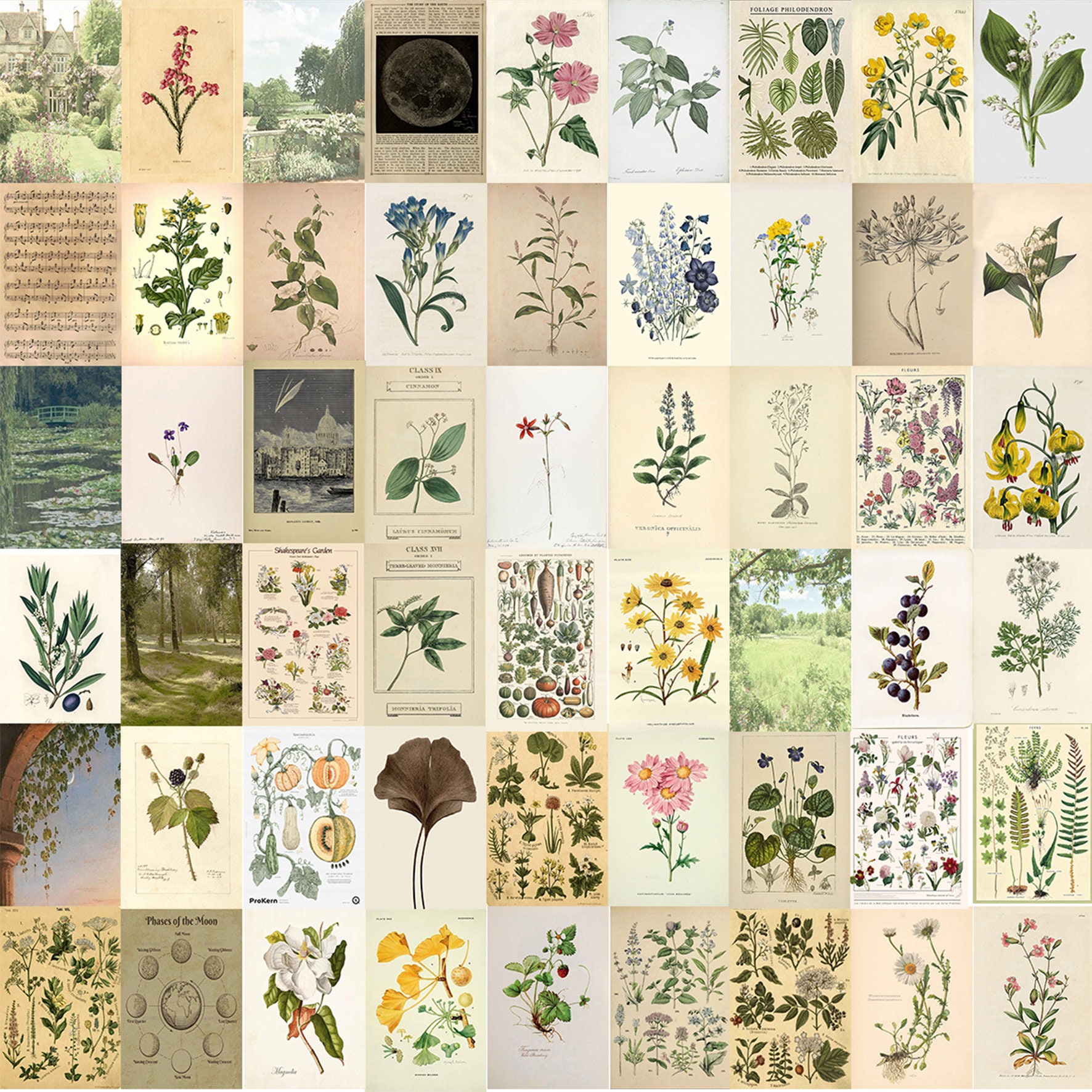 200 Cottagecore Wall Collage Kit - Fairycore Aesthetic Room Decor ...