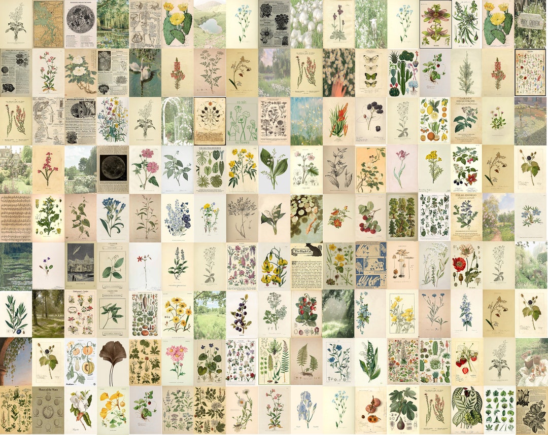 200 Cottagecore Wall Collage Kit Fairycore Aesthetic Room Etsy