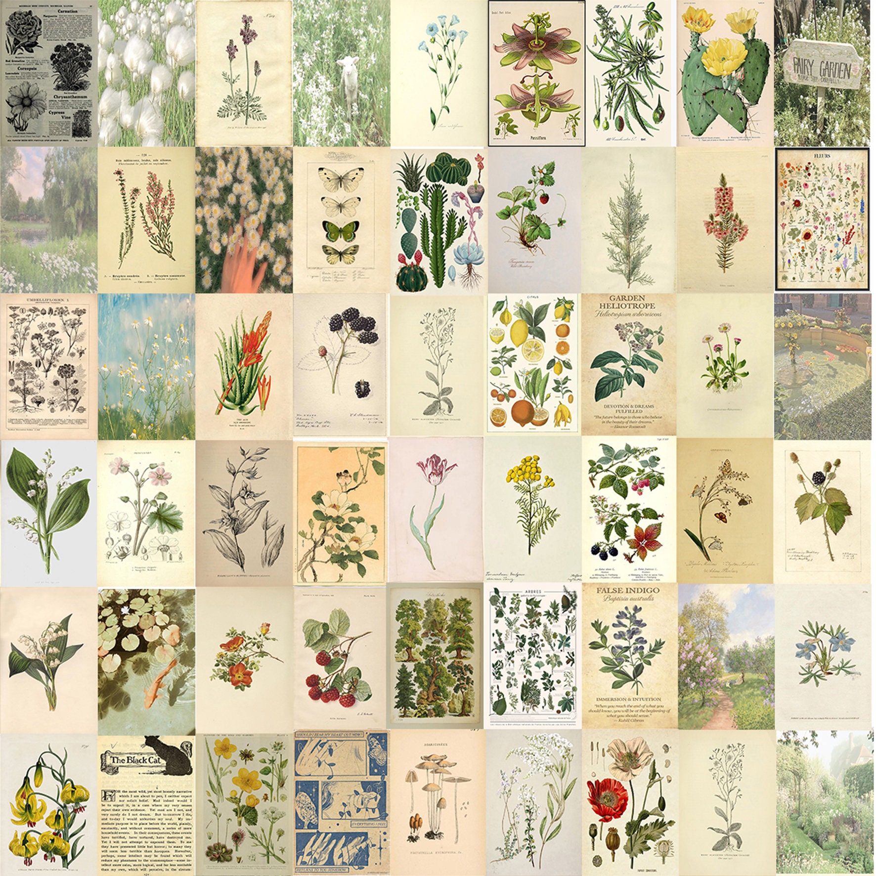 200 Cottagecore Wall Collage Kit - Fairycore Aesthetic Room Decor ...