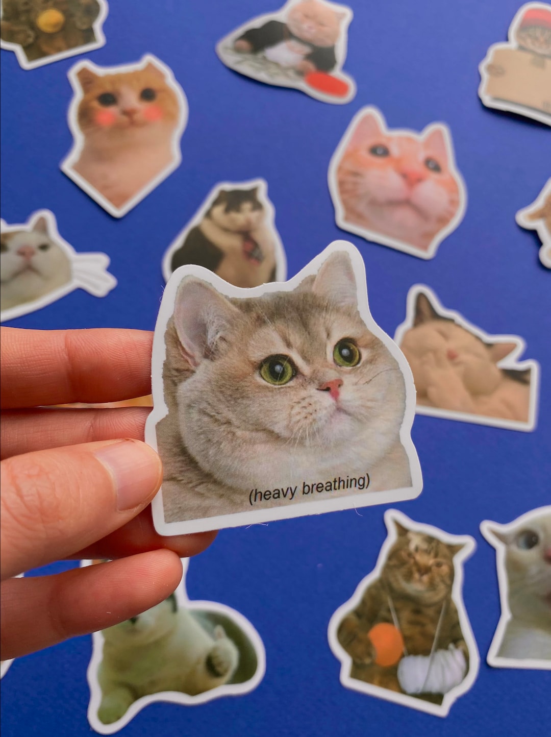 Hilarious Cat & Dog Stickers for Your Stuff, Waterproof, Funny Cat, Dog ...