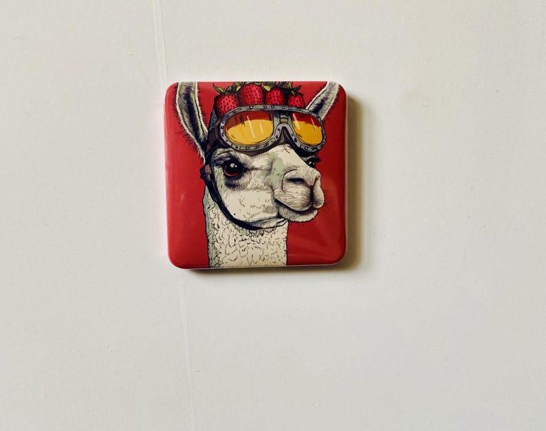 Whimsical Animal Magnet Set – Handmade Artisan Fridge Magnets - Etsy