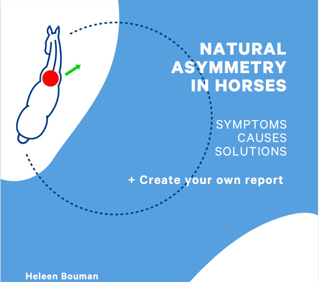 Natural Asymmetry in Horses: the Symptoms, Causes and Solutions - Etsy
