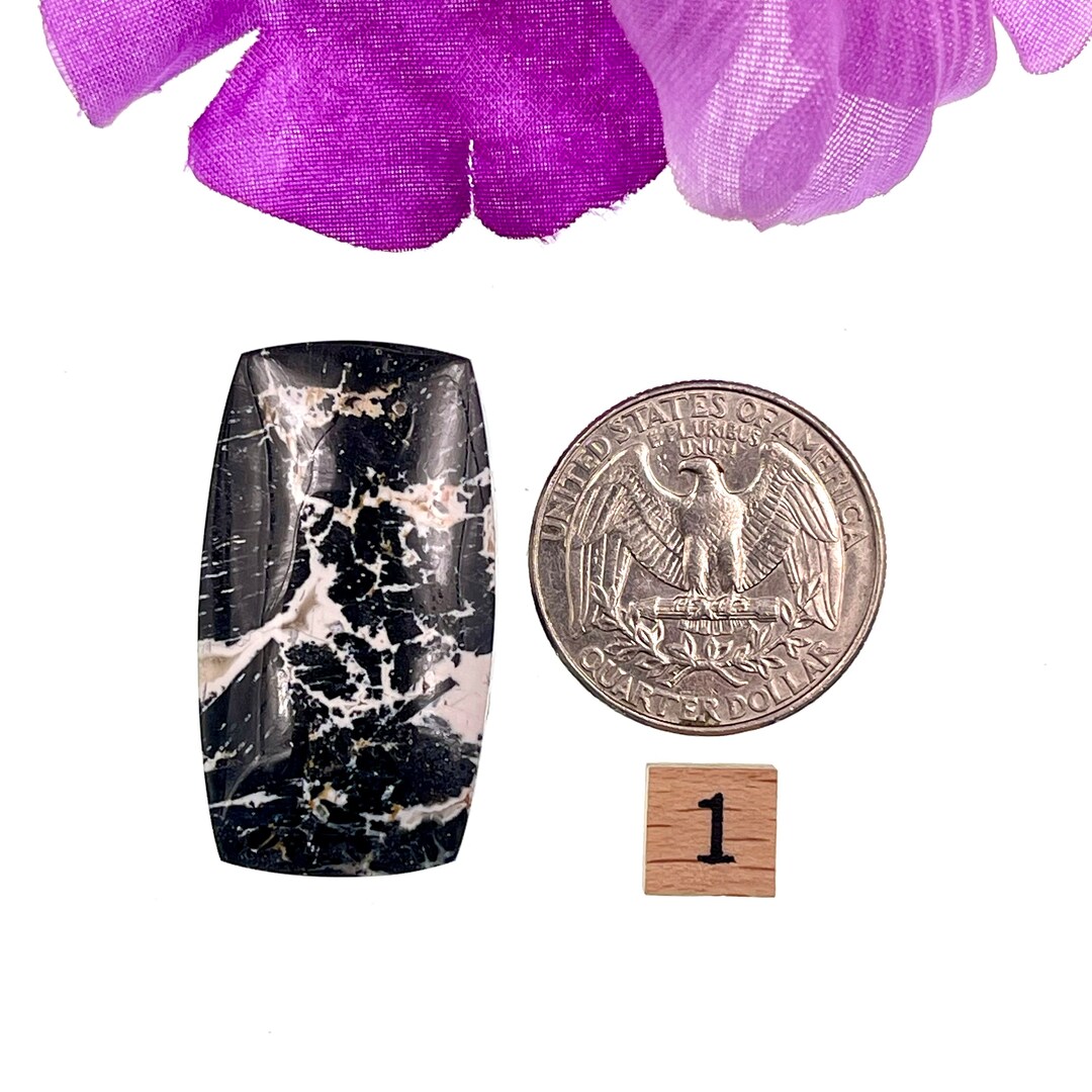 AAA Natural Palm Root Agate Palm Wood Fossils High Quality Cabochons - Etsy