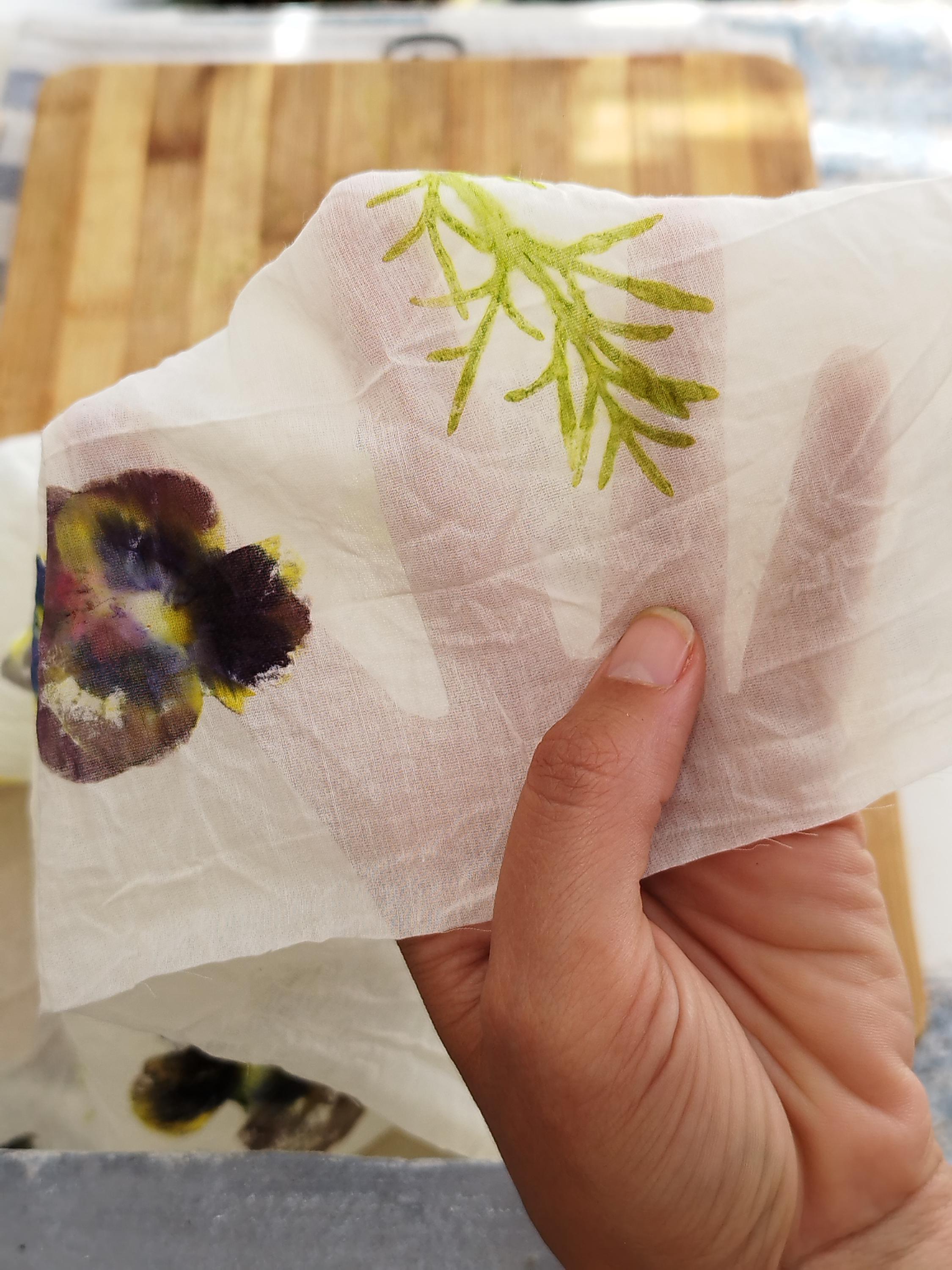 Hapa Zome Kit // Natural Stamping Kit // Creative Kit for Kids//diy Box ...