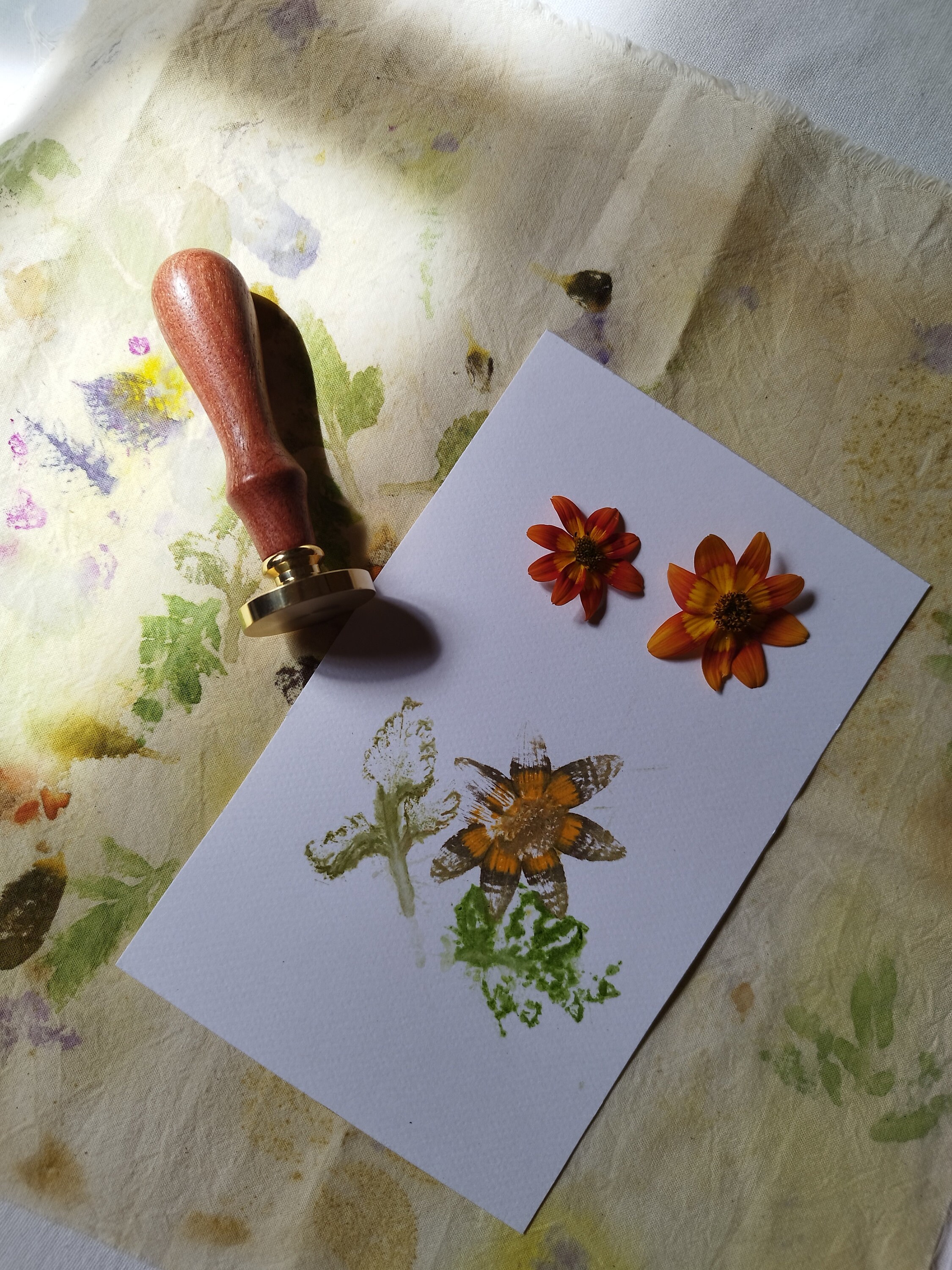 Hapa Zome Kit // Natural Stamping Kit // Creative Kit for Kids//diy Box ...