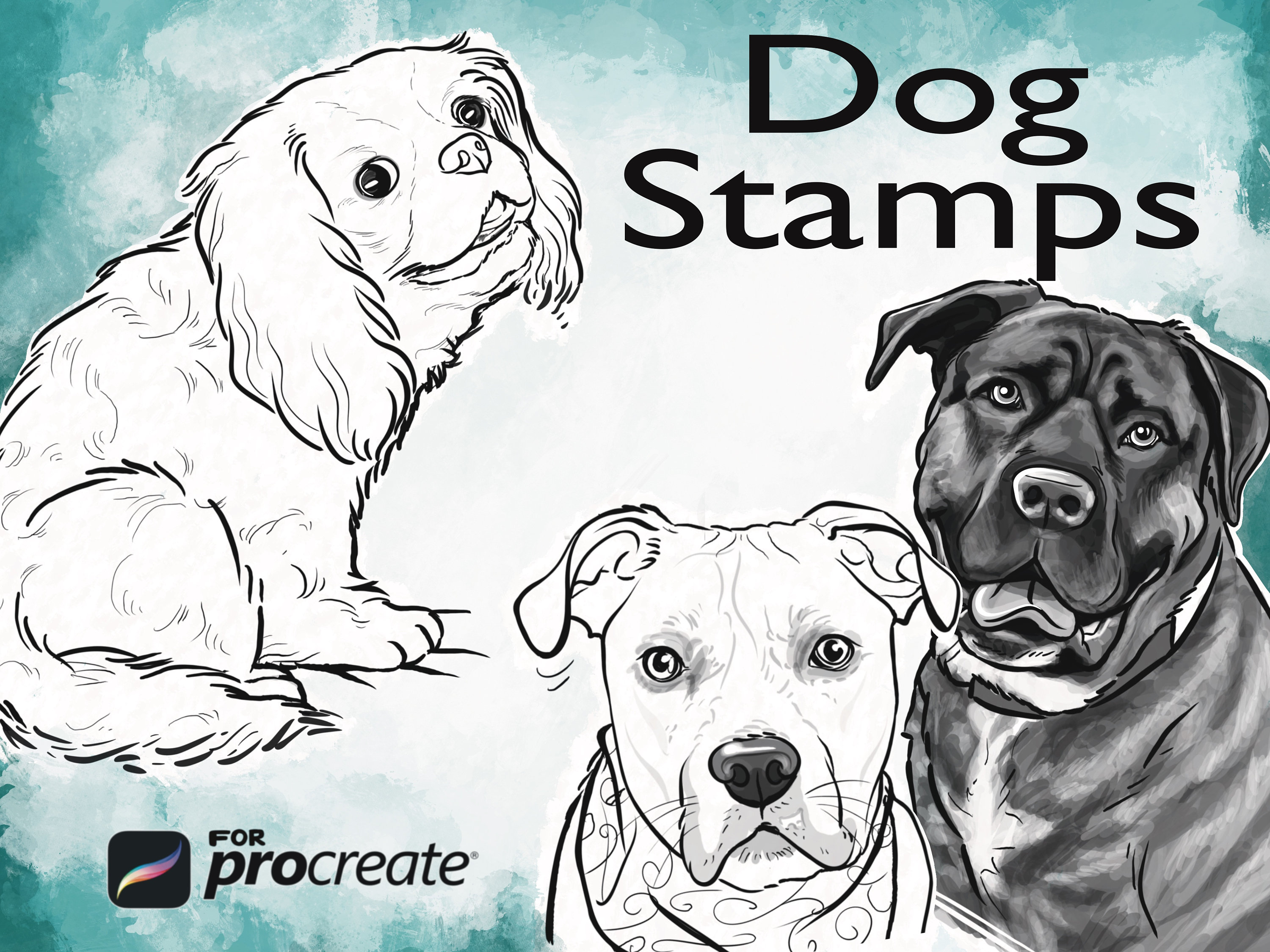 Cute Realistic Dog Drawing