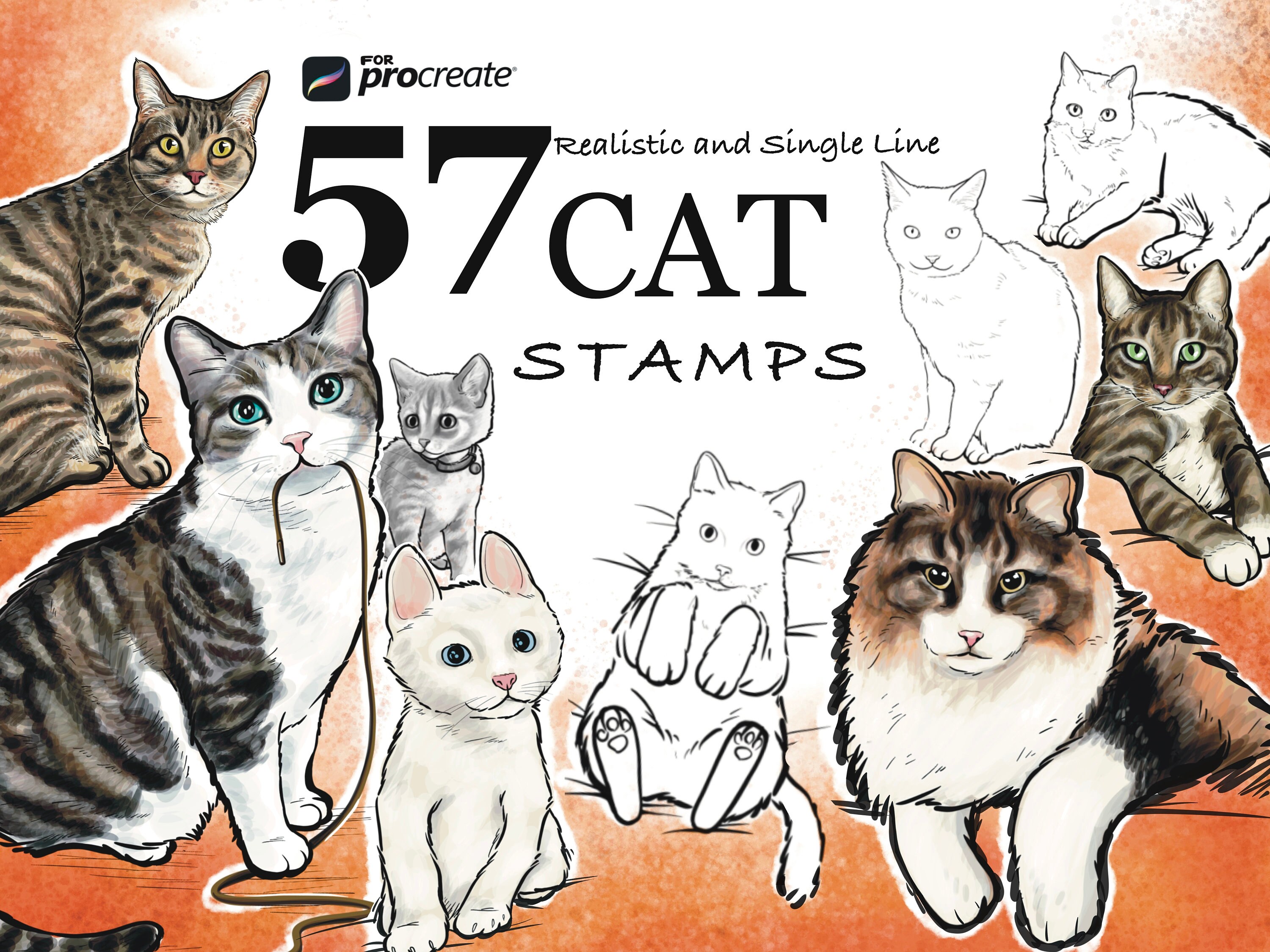 Procreate Cat Stamps, Procreate Realistic Cat Drawing, Animal Brushes ...