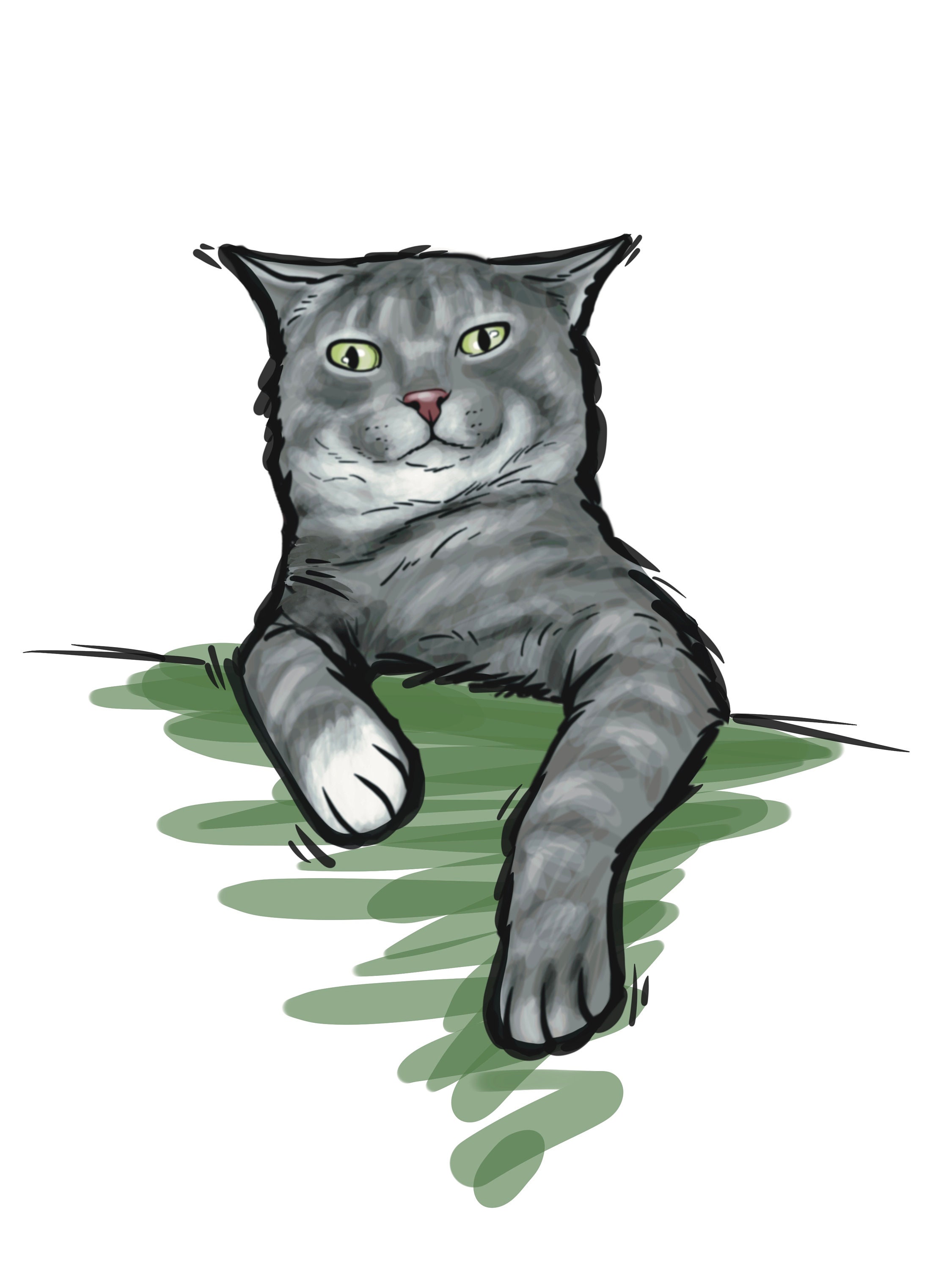 Procreate Cat Stamps, Procreate Realistic Cat Drawing, Animal Brushes ...