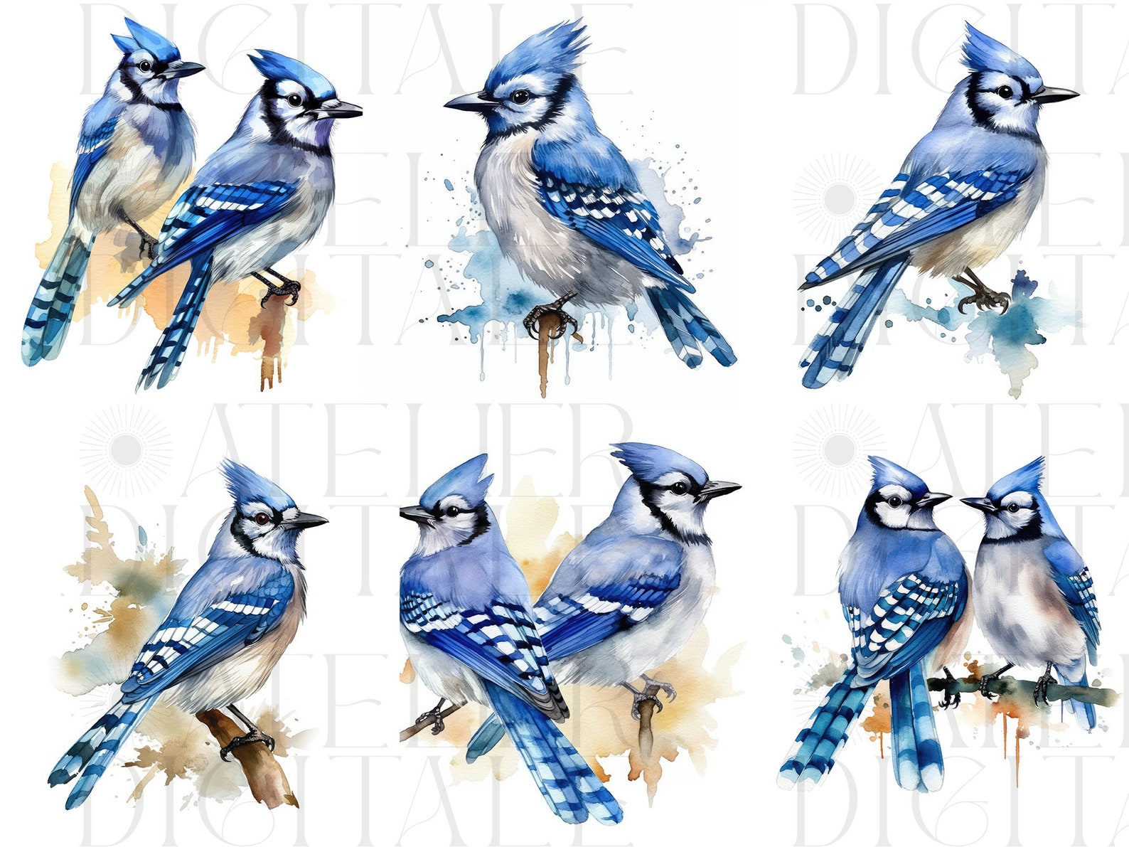 Watercolor Blue Jays Printable Wall Art, Digital Download, Blue Jay ...