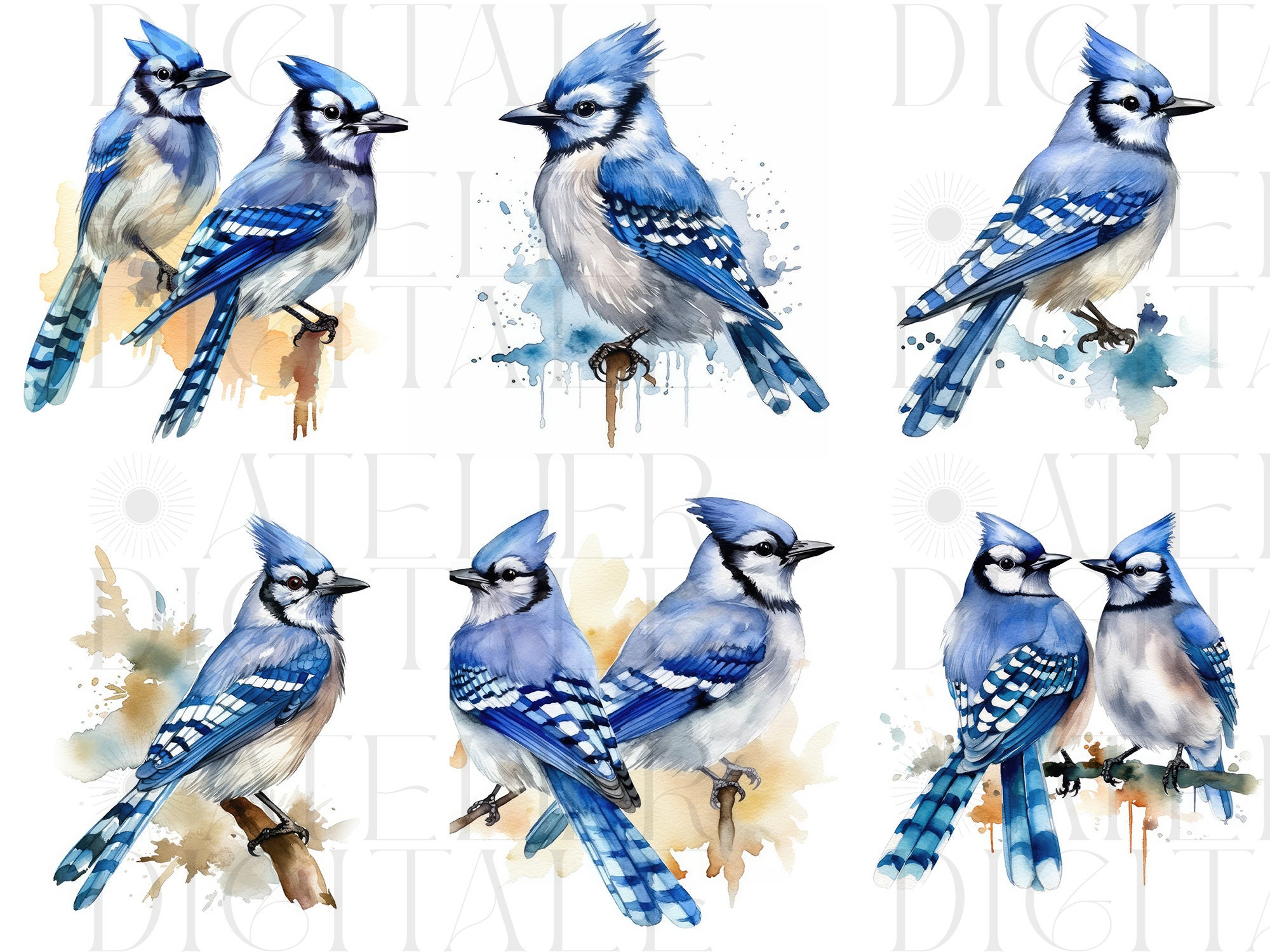Watercolor Blue Jays Printable Wall Art, Digital Download, Blue Jay ...