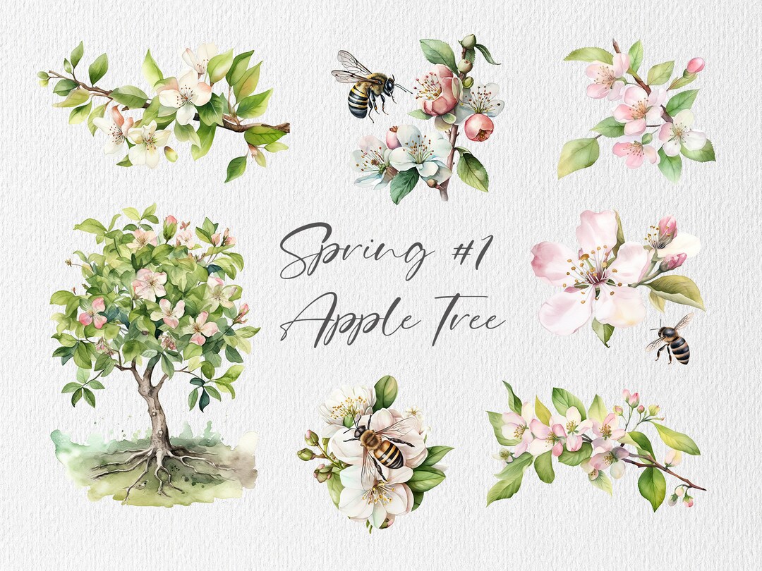 Flowers Watercolor Clipart, Apple Tree Flower Watercolour Clip Art ...