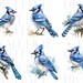 Watercolor Blue Jays Printable Wall Art, Digital Download, Blue Jay ...