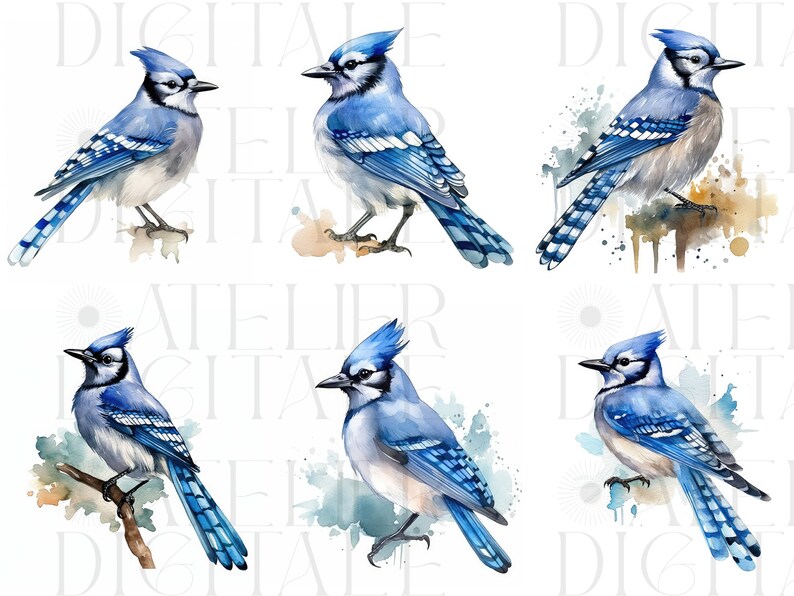 Watercolor Blue Jays Printable Wall Art, Digital Download, Blue Jay ...