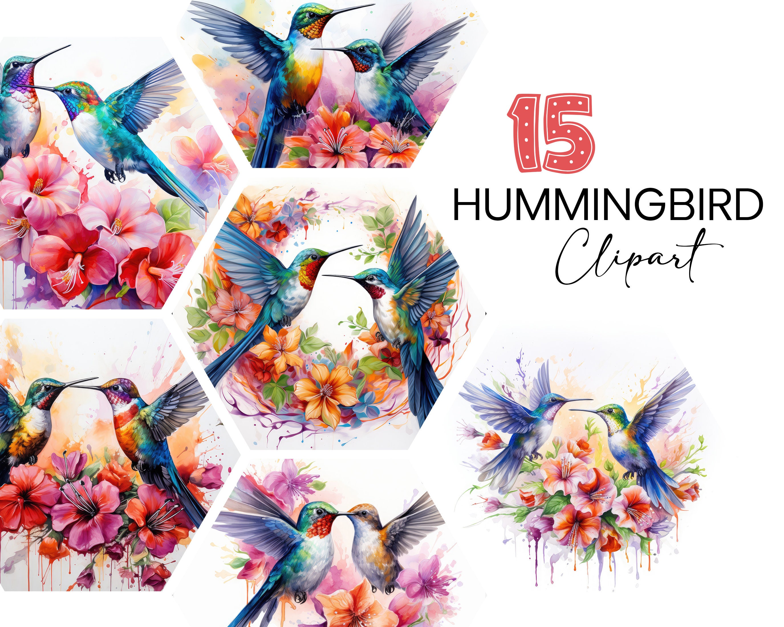 Hummingbird Watercolor Clipart Colibri Colibry Kolibri Pajaro Hachidori ...