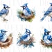 Watercolor Blue Jays Printable Wall Art, Digital Download, Blue Jay ...
