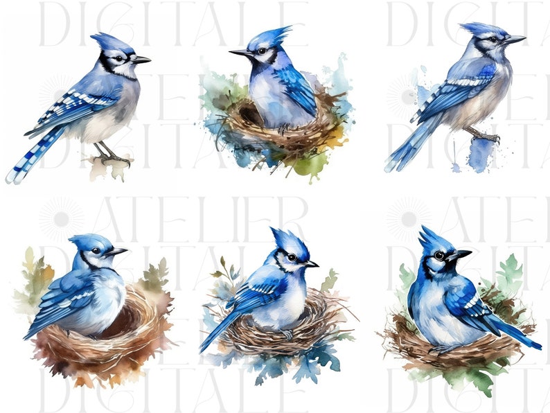 Watercolor Blue Jays Printable Wall Art, Digital Download, Blue Jay ...