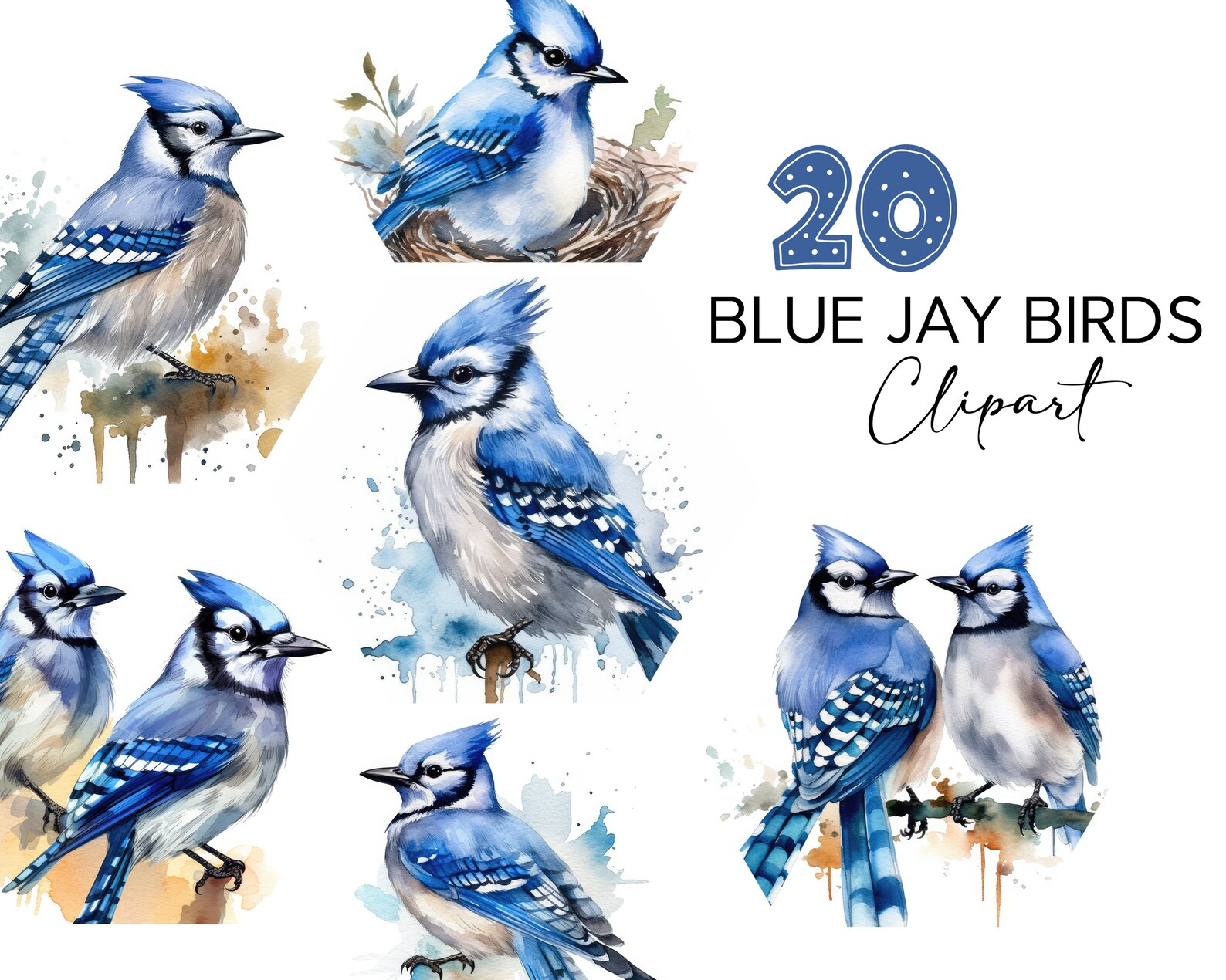 Watercolor Blue Jays Printable Wall Art, Digital Download, Blue Jay ...