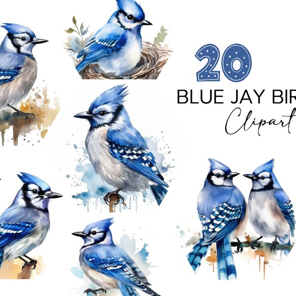 Blue Jay Clip Art - Etsy