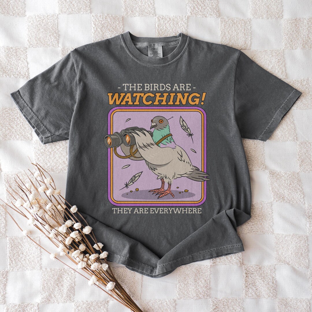 Funny Pigeon Shirt, Comfort Colors Conspiracy Shirt, Unique Pigeon ...