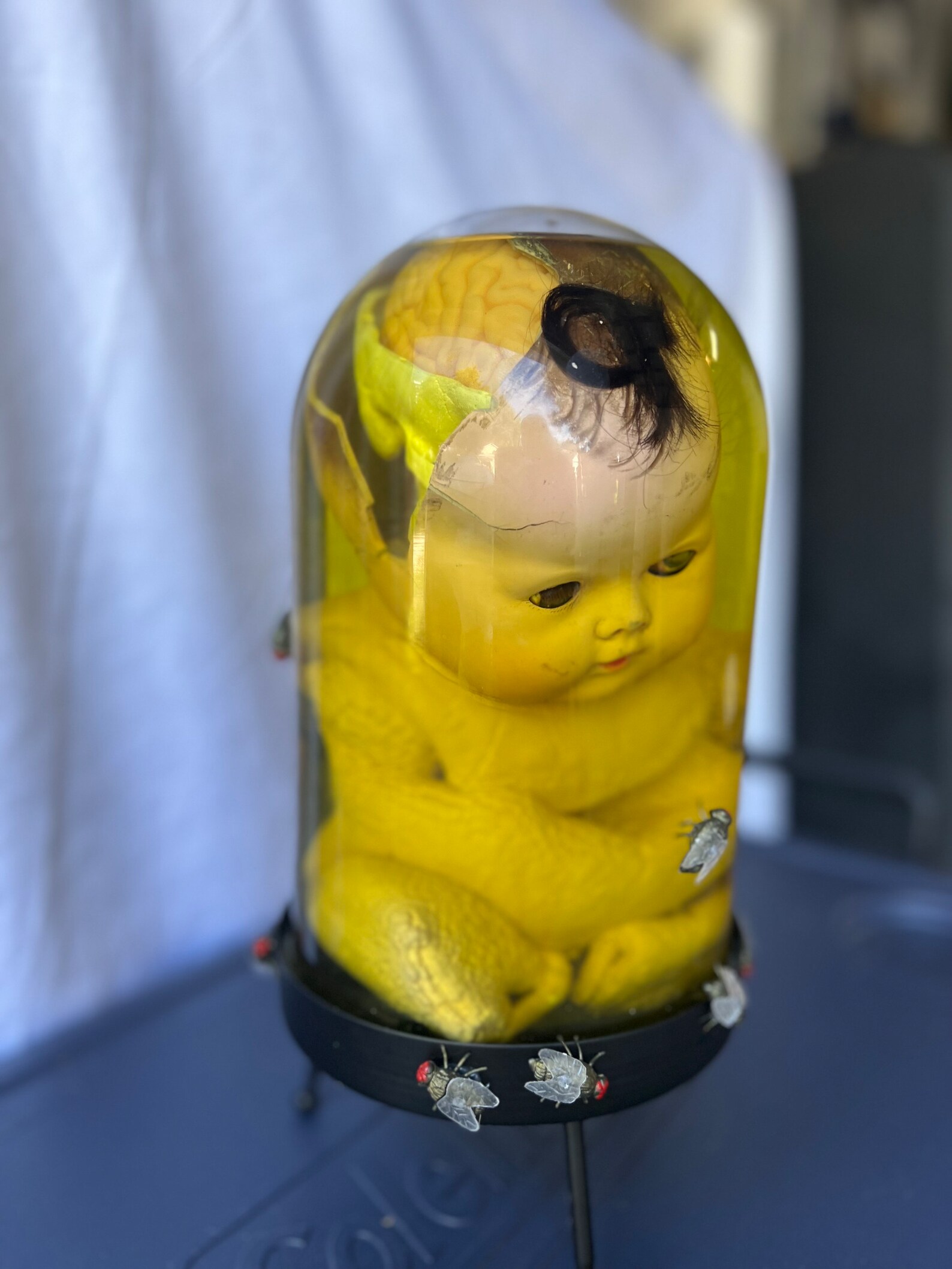 Doll - the Embalmed Specimen Baby - Etsy