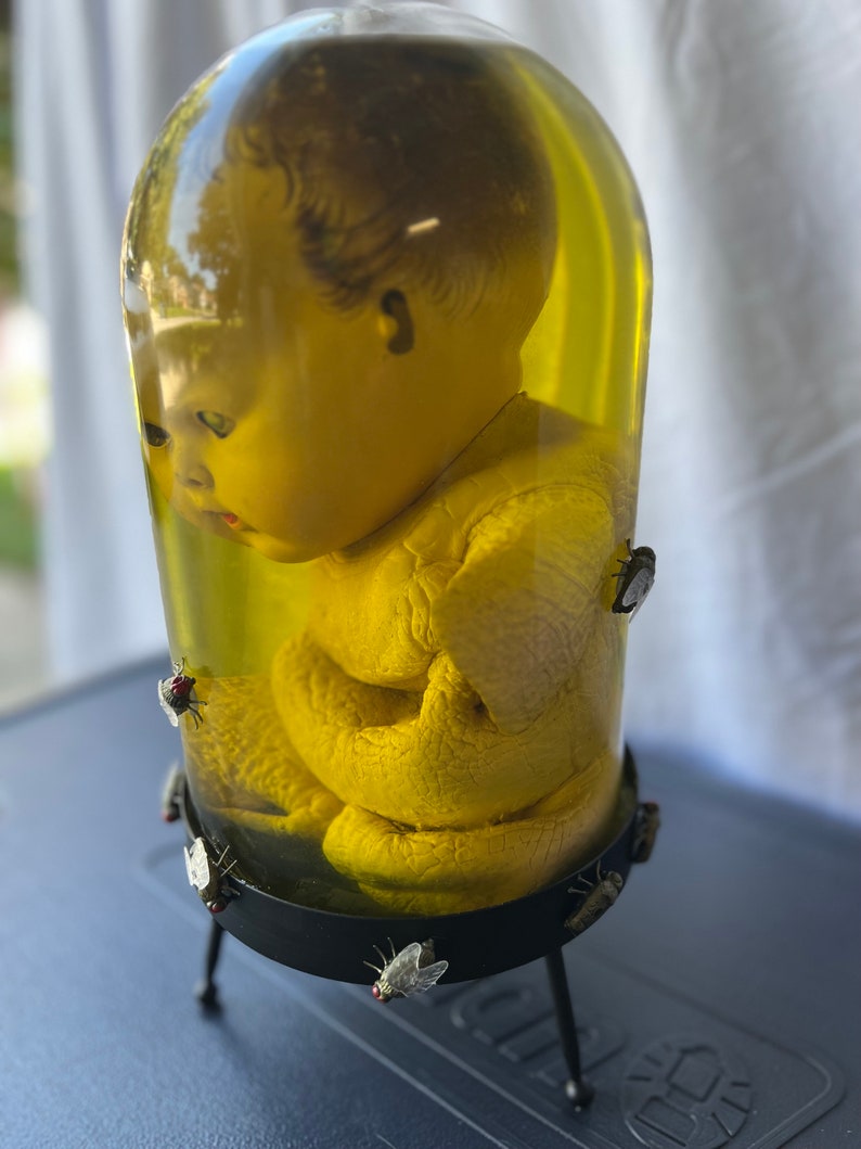 Doll - the Embalmed Specimen Baby - Etsy