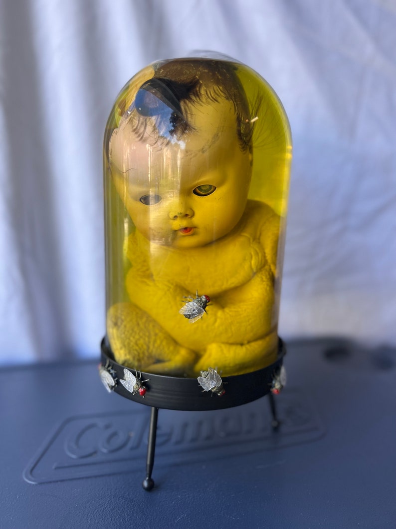 Doll - the Embalmed Specimen Baby - Etsy