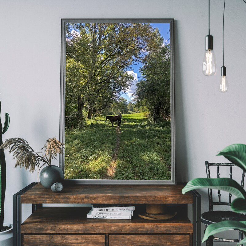 Pasture Scenes - Etsy