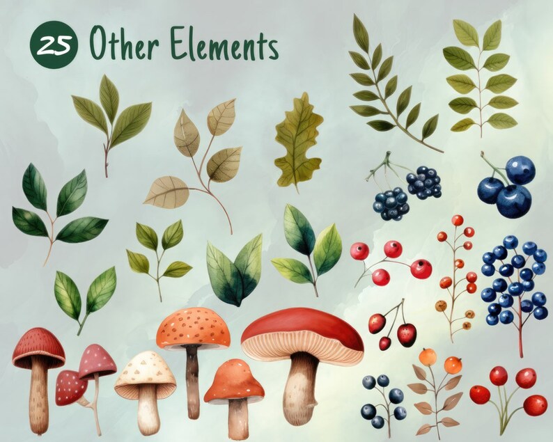 Watercolor Forest Animals Clipart Set Woodlands Animals Clip - Etsy