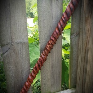 Solid Brazilian Cocobolo Tusk Walking Stick - Etsy