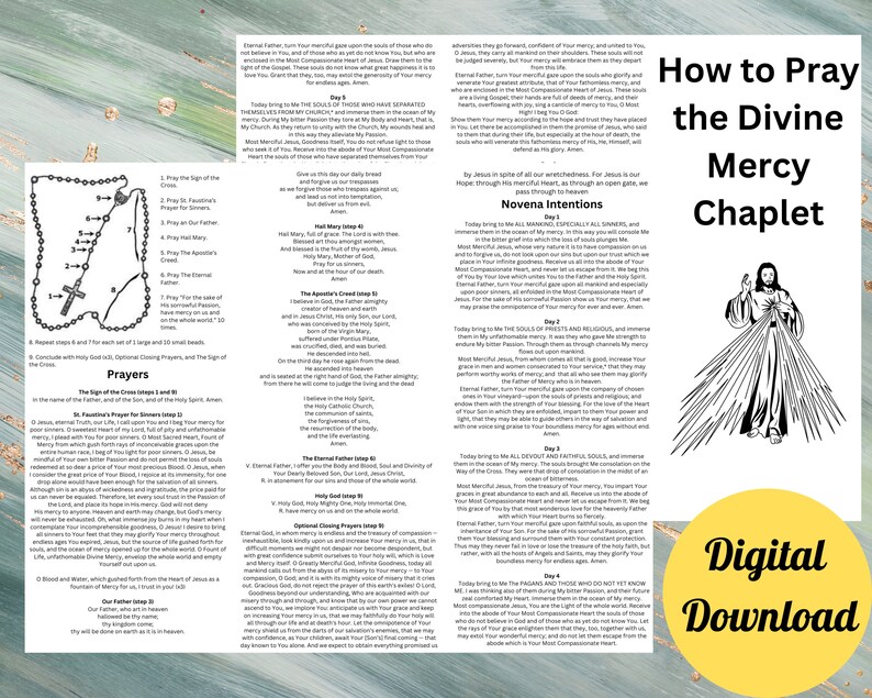 How to Pray the Divine Mercy Chaplet Guide, Catholic Devotional Booklet ...