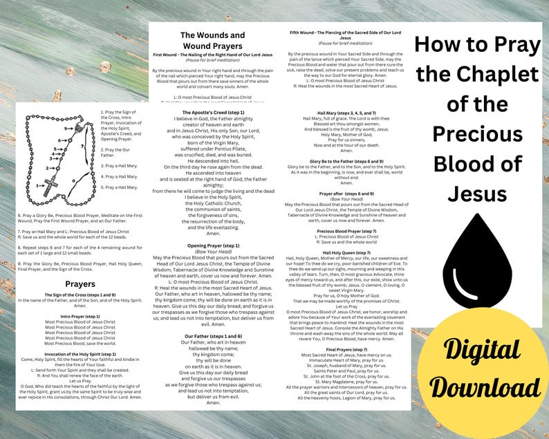 How to Pray the Chaplet of the Precious Blood of Jesus Christ, Catholic ...