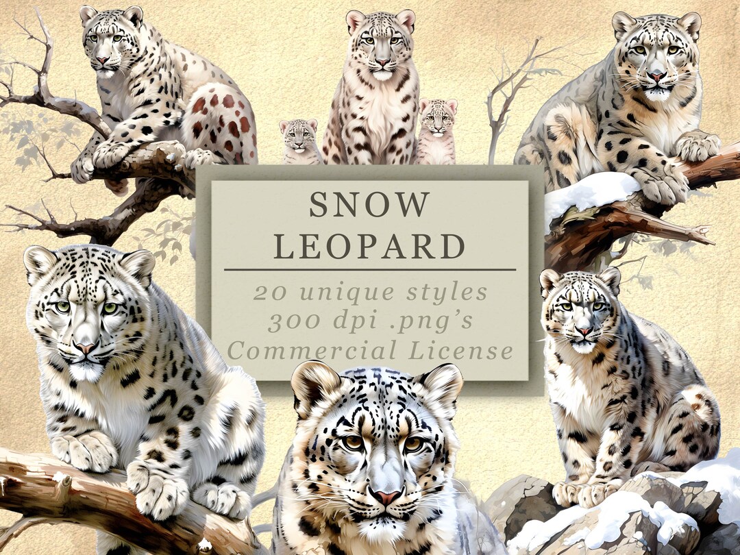 Snow Leopard Clip Art Collection - High-quality Digital Downloads for ...