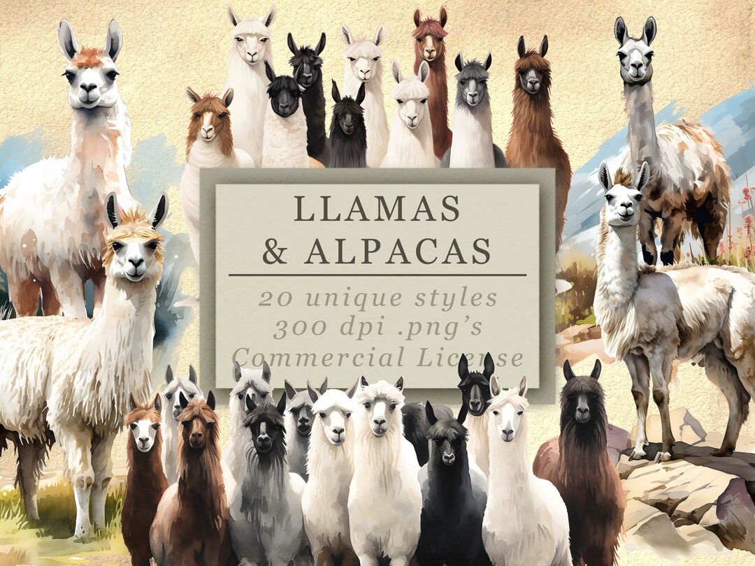 Llamas & Alpaca Clip Art Collection High-quality Digital Downloads for ...