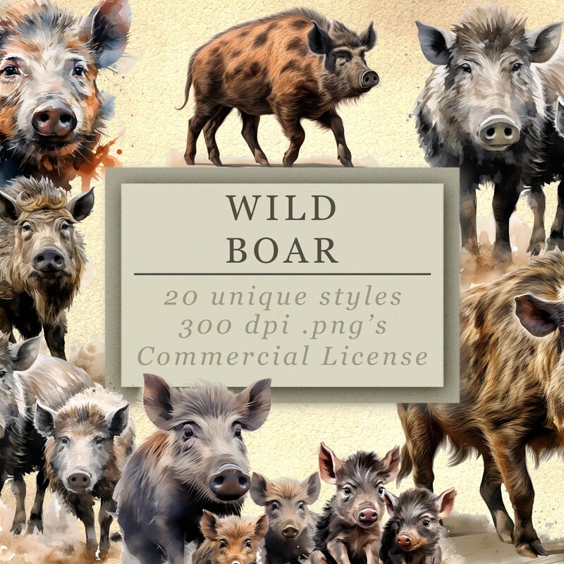Wild Boar - Etsy