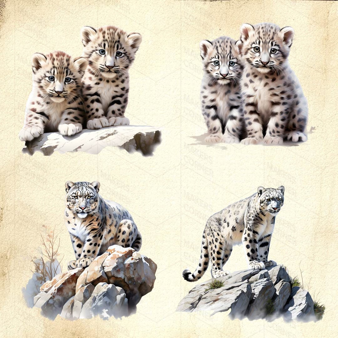 Snow Leopard Clip Art Collection High-quality Digital Downloads for Art ...