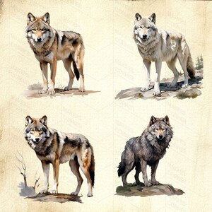 Wolf Pack Clip Art Collection for Art and Design, Instant Download ...