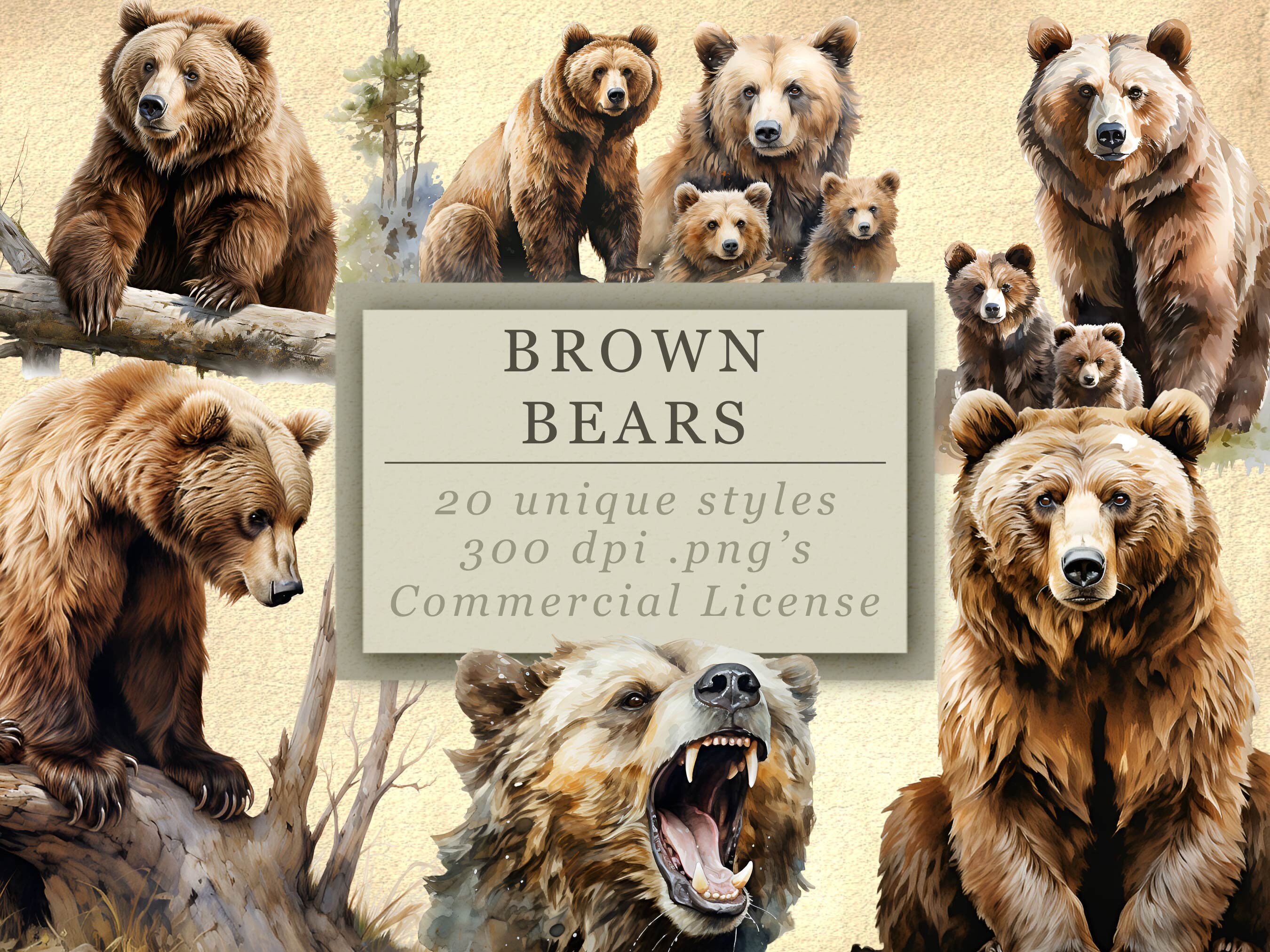 Brown Bears Clip Art Collection for Art and Design, Instant Download ...