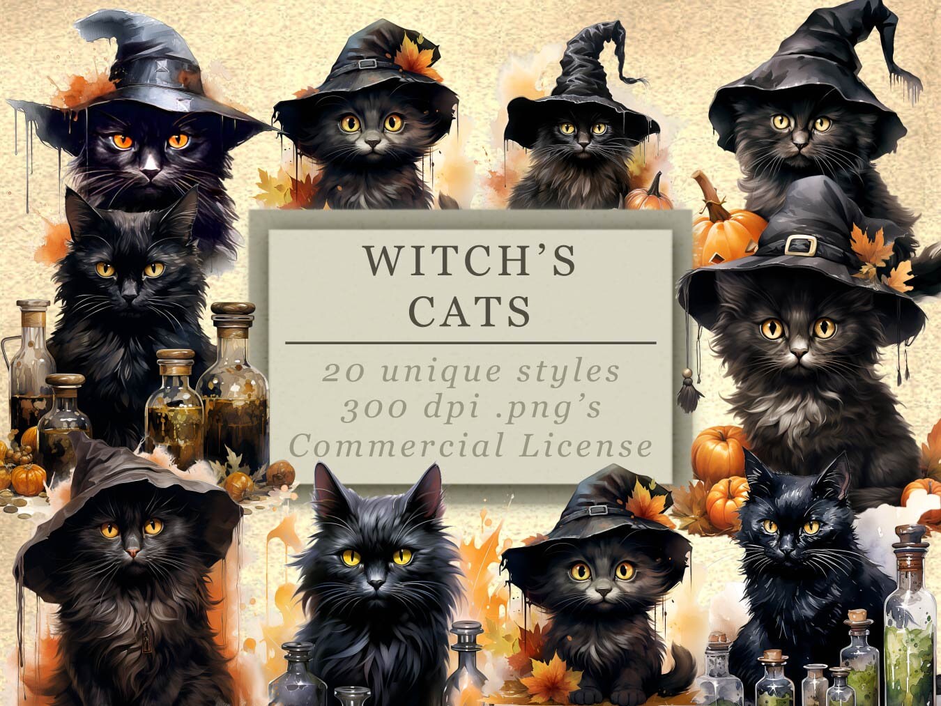 Cute Witch's Cats Clip Art Collection for Art and Design - Etsy