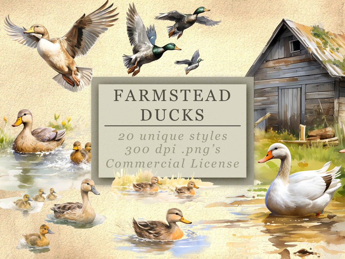 Farmstead Ducks Clip Art Collection High-quality Digital - Etsy