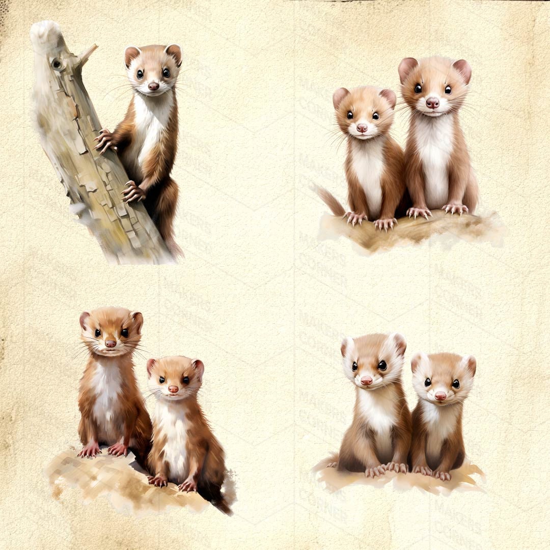 Stouts & Weasels Clip Art Collection High-quality Digital - Etsy