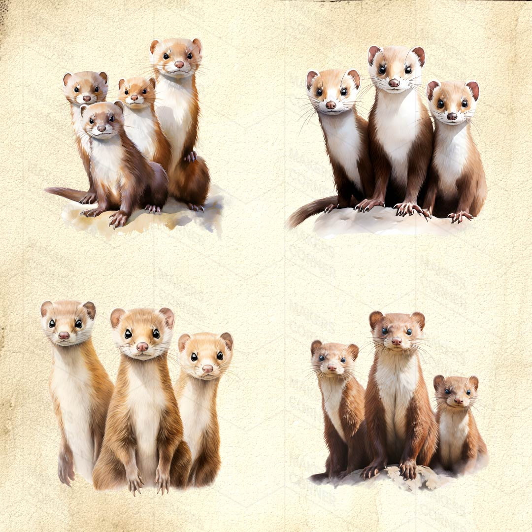 Stouts & Weasels Clip Art Collection High-quality Digital - Etsy