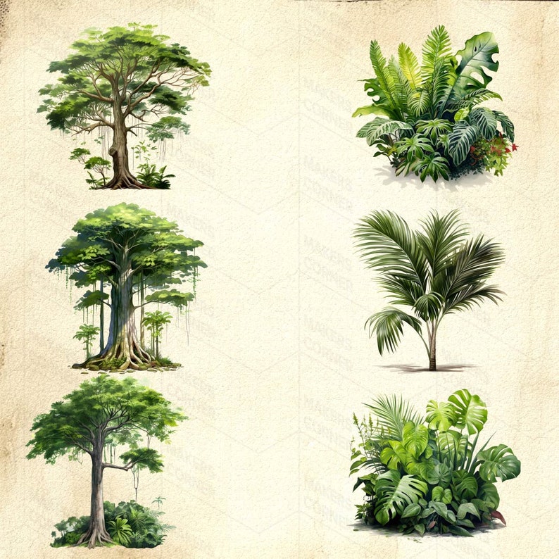 Tropical Rainforest Flora Clip Art Collection Stunning Watercolor ...