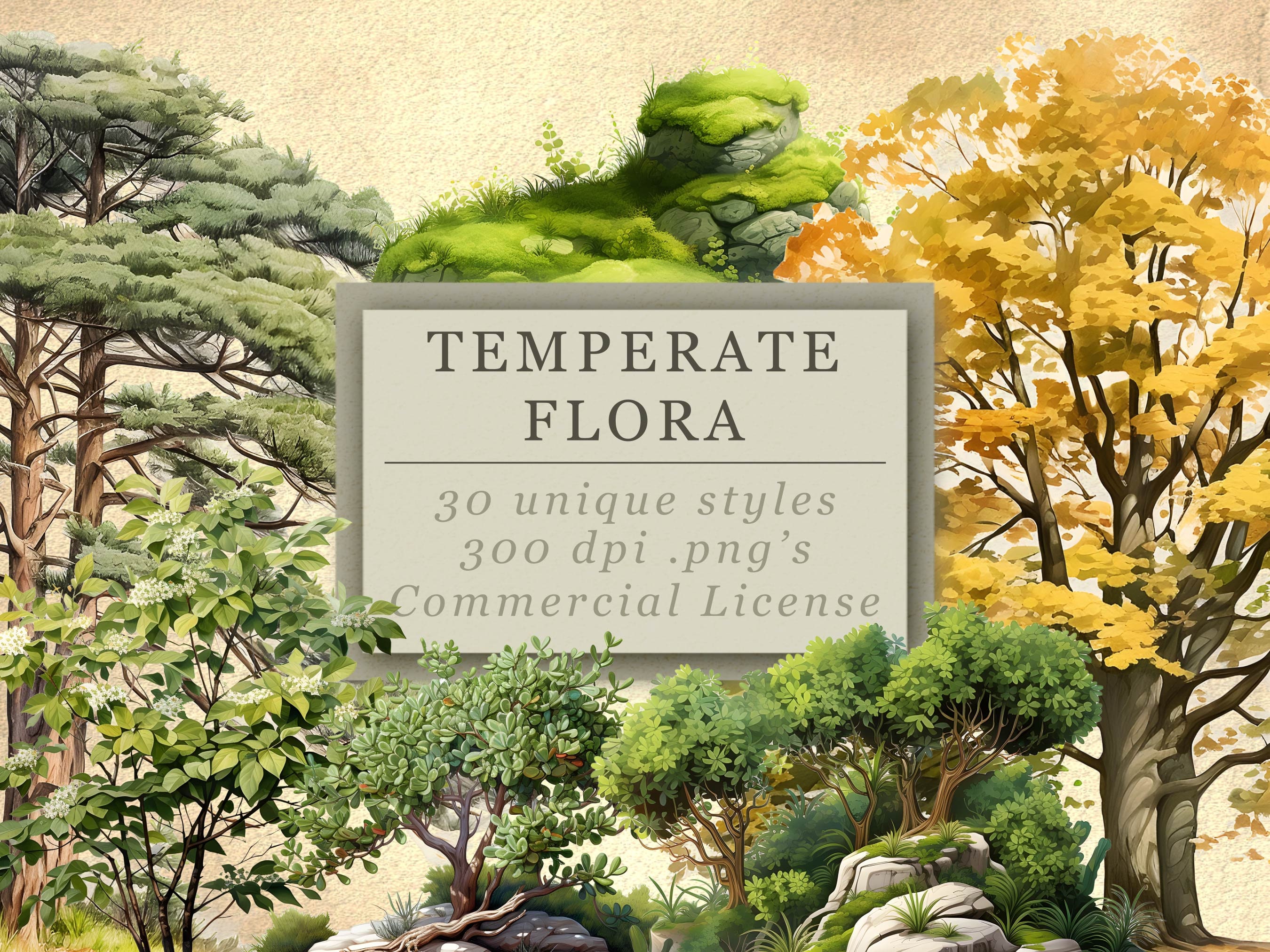 Ultimate Flora Bundle, Tropical Rainforest, Desert Plants, Aquatic ...