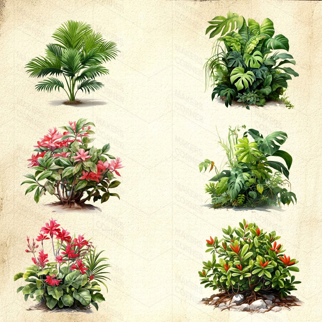 Tropical Rainforest Flora Clip Art Collection Stunning Watercolor ...