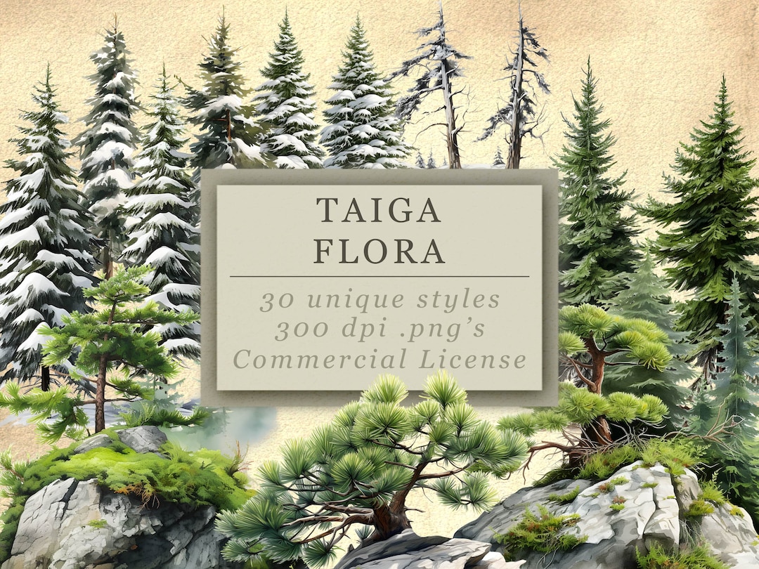 Taiga Flora Clip Art Collection - Stunning Watercolor Artwork for Art ...